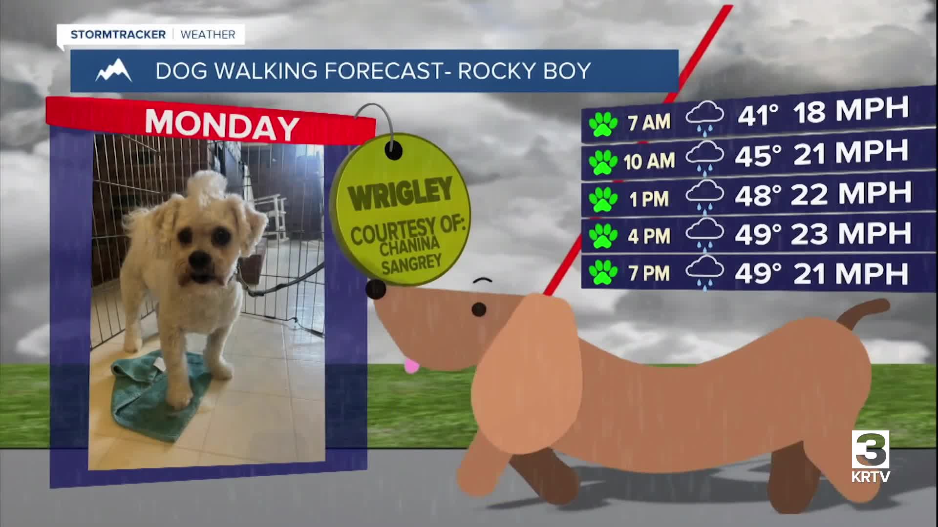 Dog-walking forecast (Wrigley)