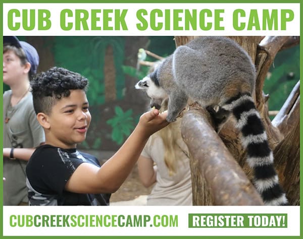 Kids summer camps in Kansas City: 2026 summer programs, activities ...