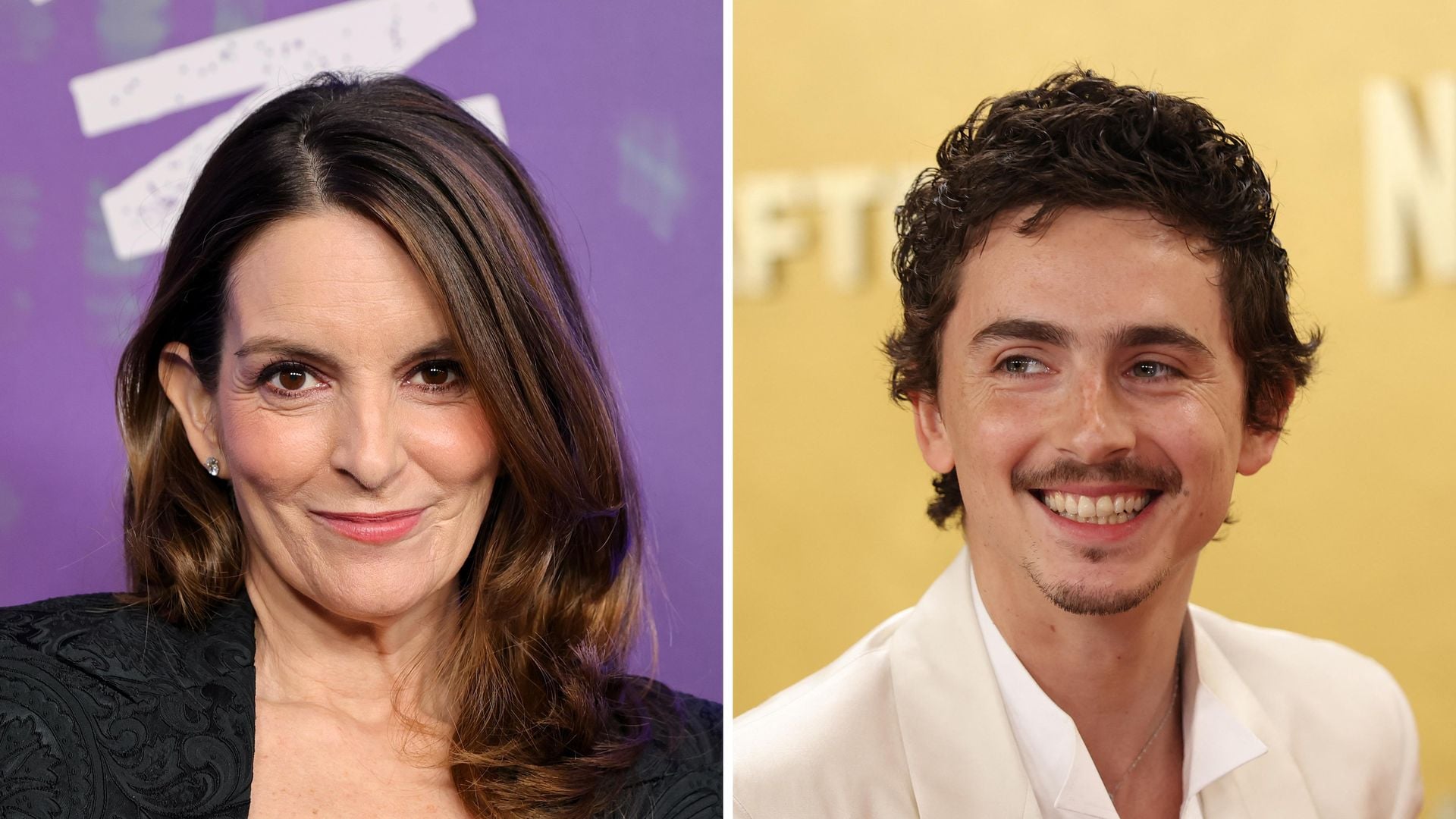 Nach Meme-Wirbel: Tina Fey nimmt Timothée Chalamet in Schutz