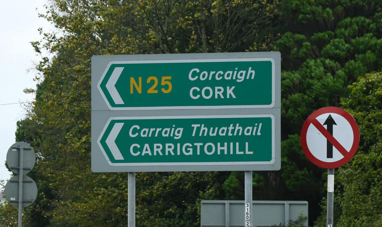 ‘Treacherous, madness, and bedlam’: N25 traffic congestion worsens in ...