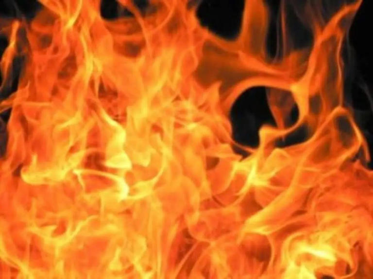 Massive fire brought under control at Old County Line Nursery