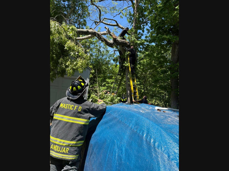 Tragedy averted as group of 1st responders rescue man caught in a tree ...