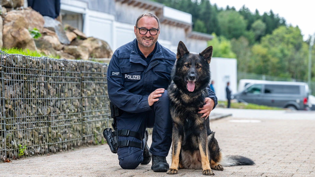 24 fearless dog breeds for family protection