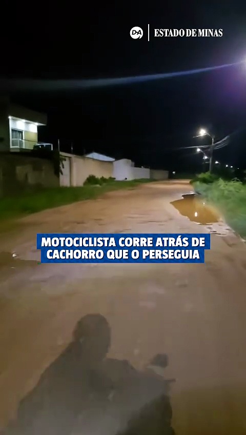 Homem desce da moto e corre atrás de cachorro que o perseguia