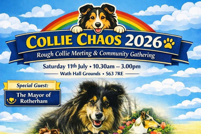 There will be plenty of pooches on patrol at special collie dog event