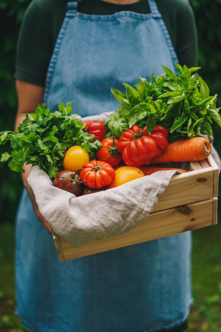 How to grow your own salsa garden for the freshest ingredients