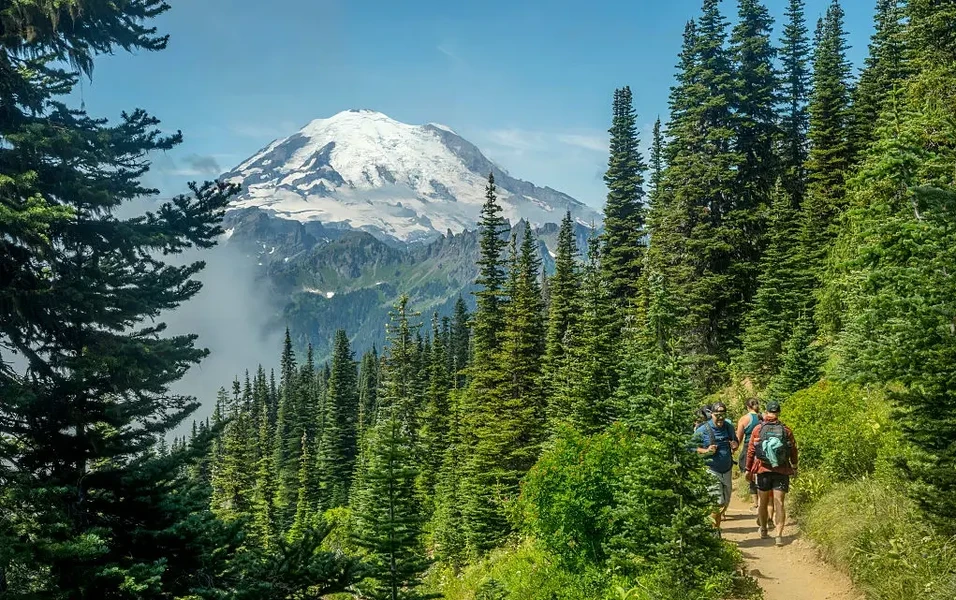 Finding peace in Washington’s hidden parks