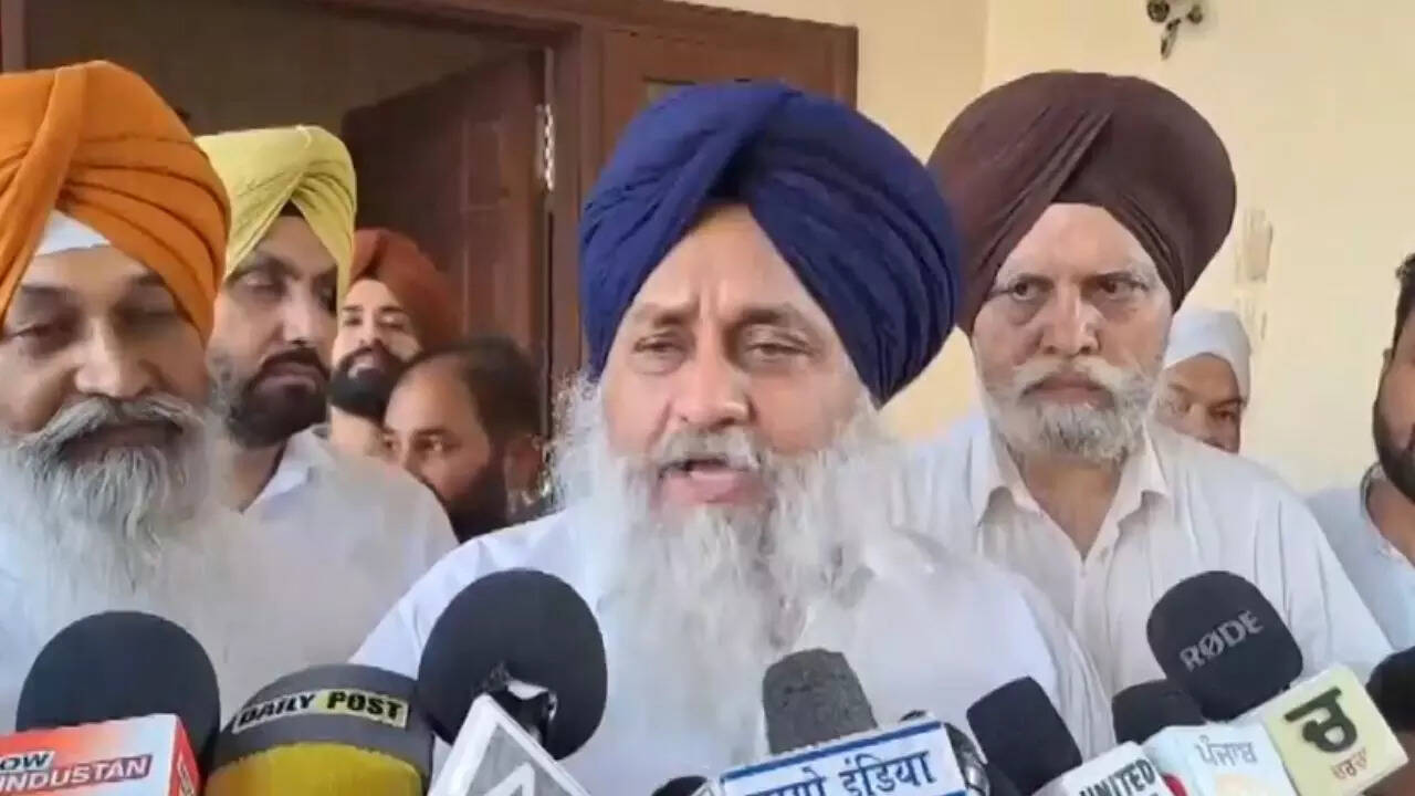 Post Punjab civic polls, 31 independent winners join Shiromani Akali ...