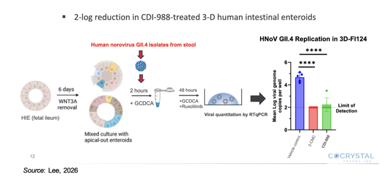 COCP: Presentation highlights CDI-988