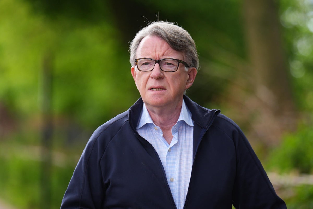 Serious questions remain over Mandelson appointment despite files ...