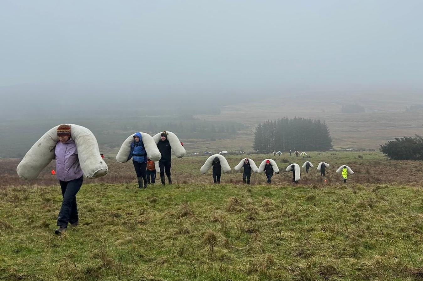 Shear genius: How farmers and environmental experts came together to ...