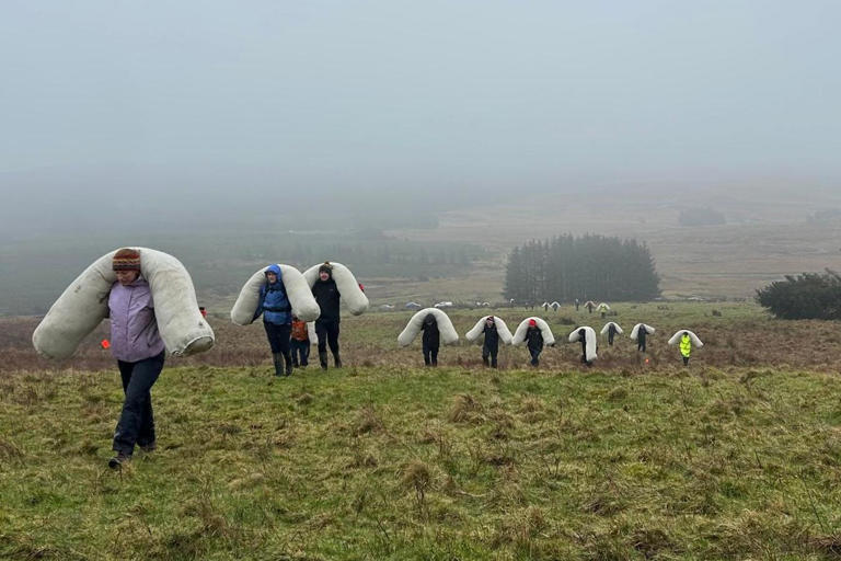 Shear genius: How farmers and environmental experts came together to ...