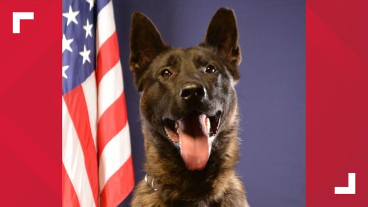 Grand Rapids police K9 stabbed Saturday expected to make full recovery