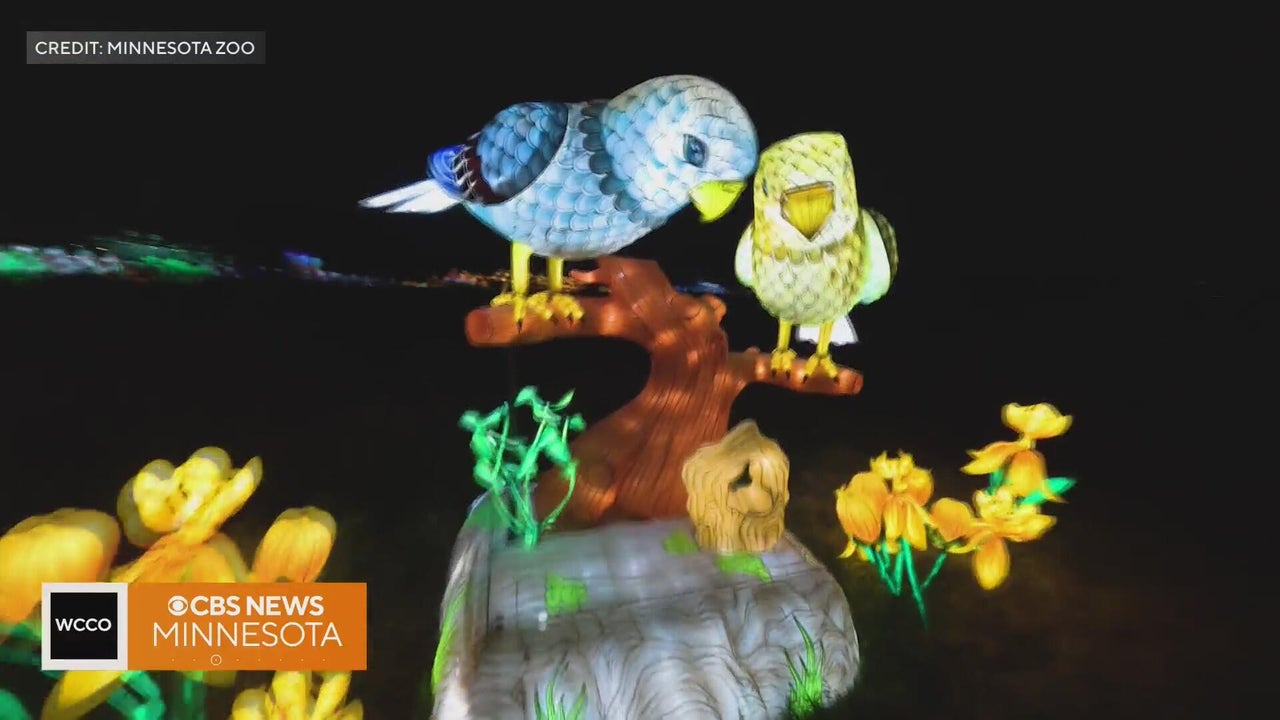 Minnesota Zoo launches luminous Wanderlight Trail
