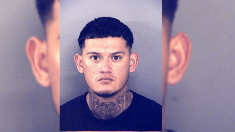 Suspected animal cruelty report leads to El Paso man’s arrest