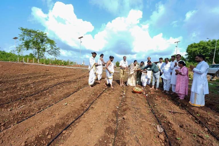 Super napier grass to be planted on 200 acres across Goa to improve ...