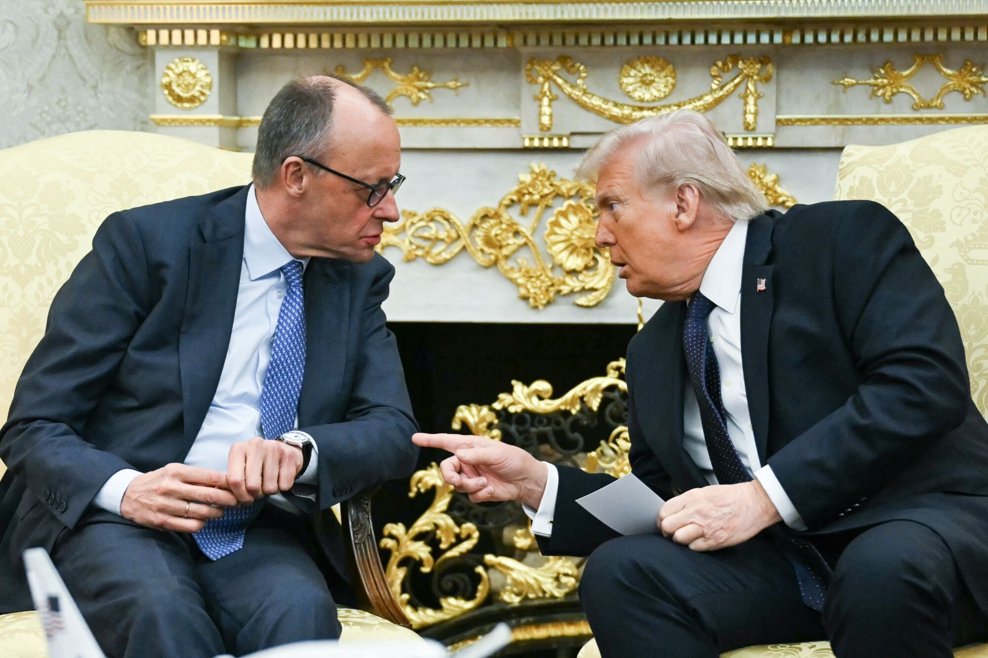 Merz will gather leaders to forge NATO for wooing Trump