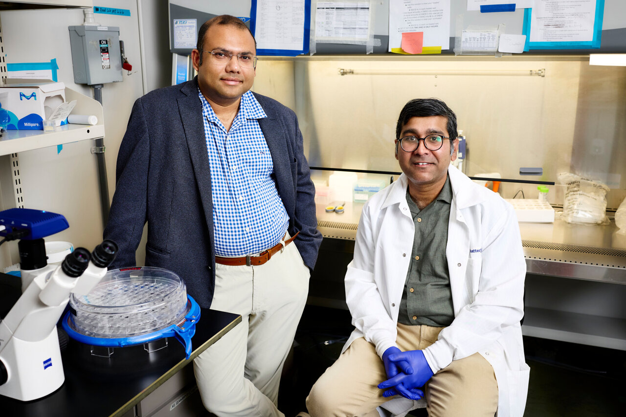 A common food compound may hold the key to shutting down leaky gut damage