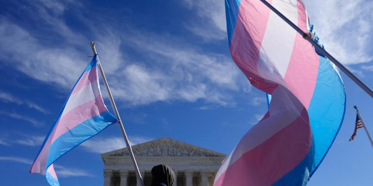 Trump's trans military ban is illegal and discriminatory, appeals panel ...
