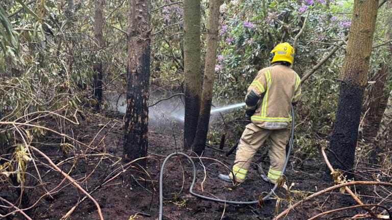 Nature reserve walkway fire believed to be accident