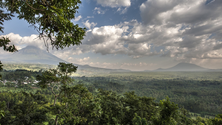 Congo Basin, the world's largest ecological lung, attracts over $3 ...
