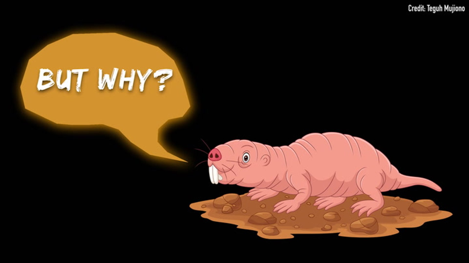Naked mole rats dig carbon dioxide