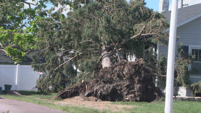 Lexington residents clean up after storm brings 70 plus mph winds