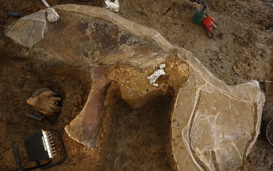 How dinosaurs rose to rule Earth