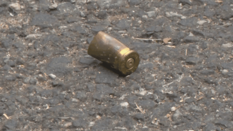 Shots fired near Lindale Mall carnival; police find shell casing, no ...
