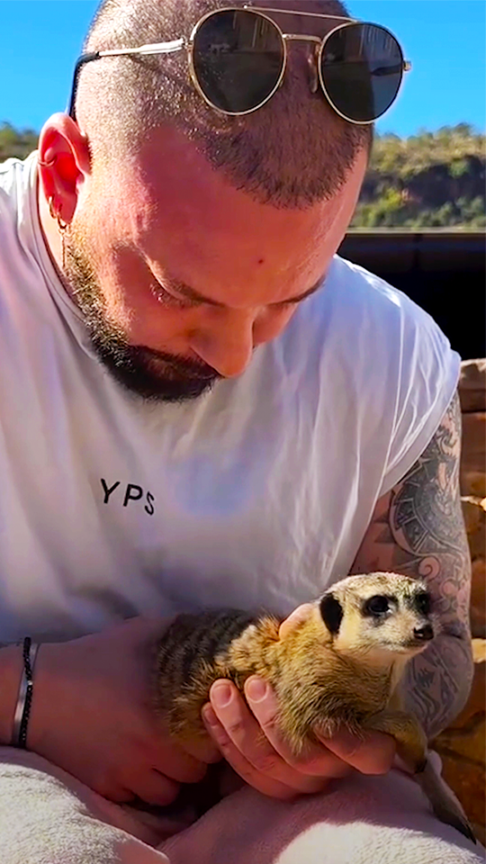 Meet the animal chiropractor