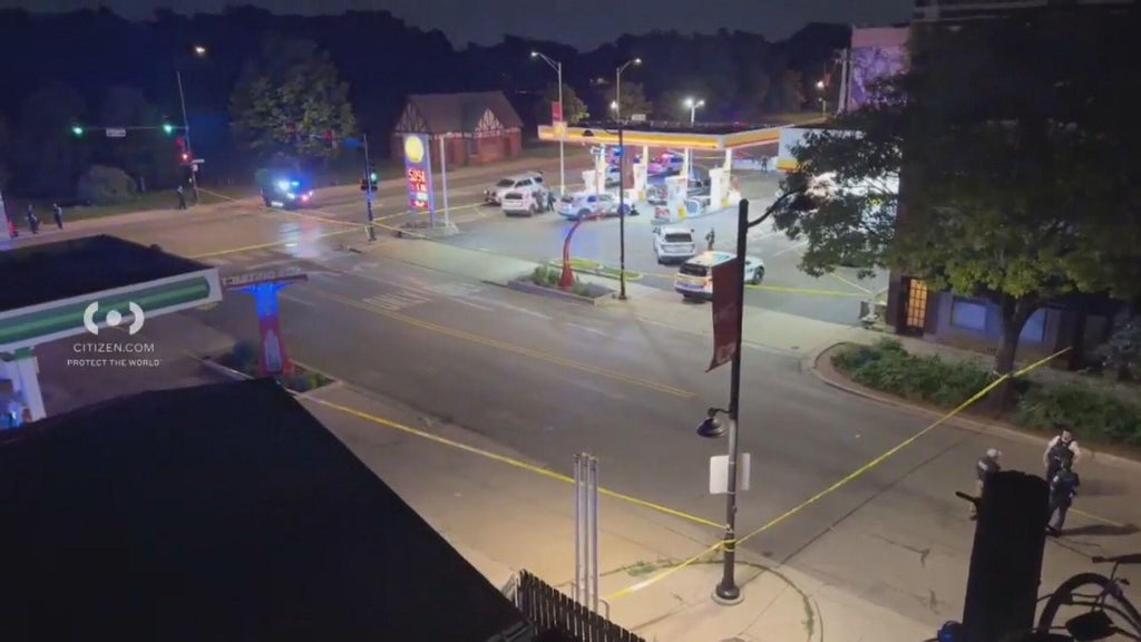 Driver dies in Oak Park police shooting after traffic stop, struggle ...