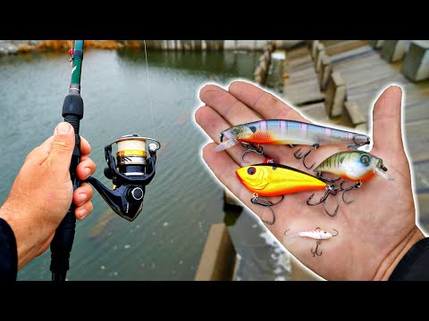 We caught fish in impossible conditions using sneaky baits