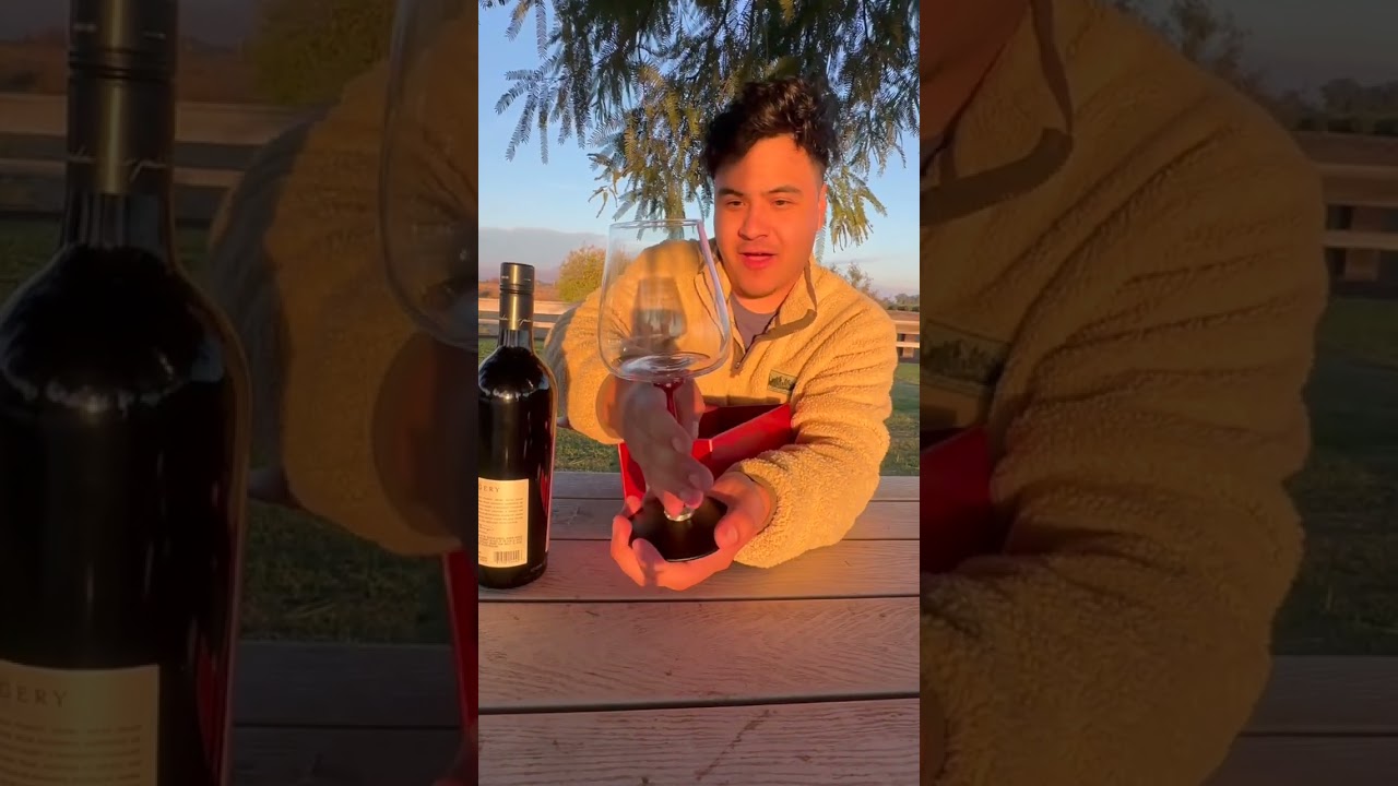 This wine glass breaks physics