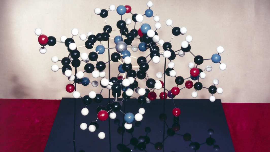 Studies link low-normal B12 and folate to fatigue and brain risks