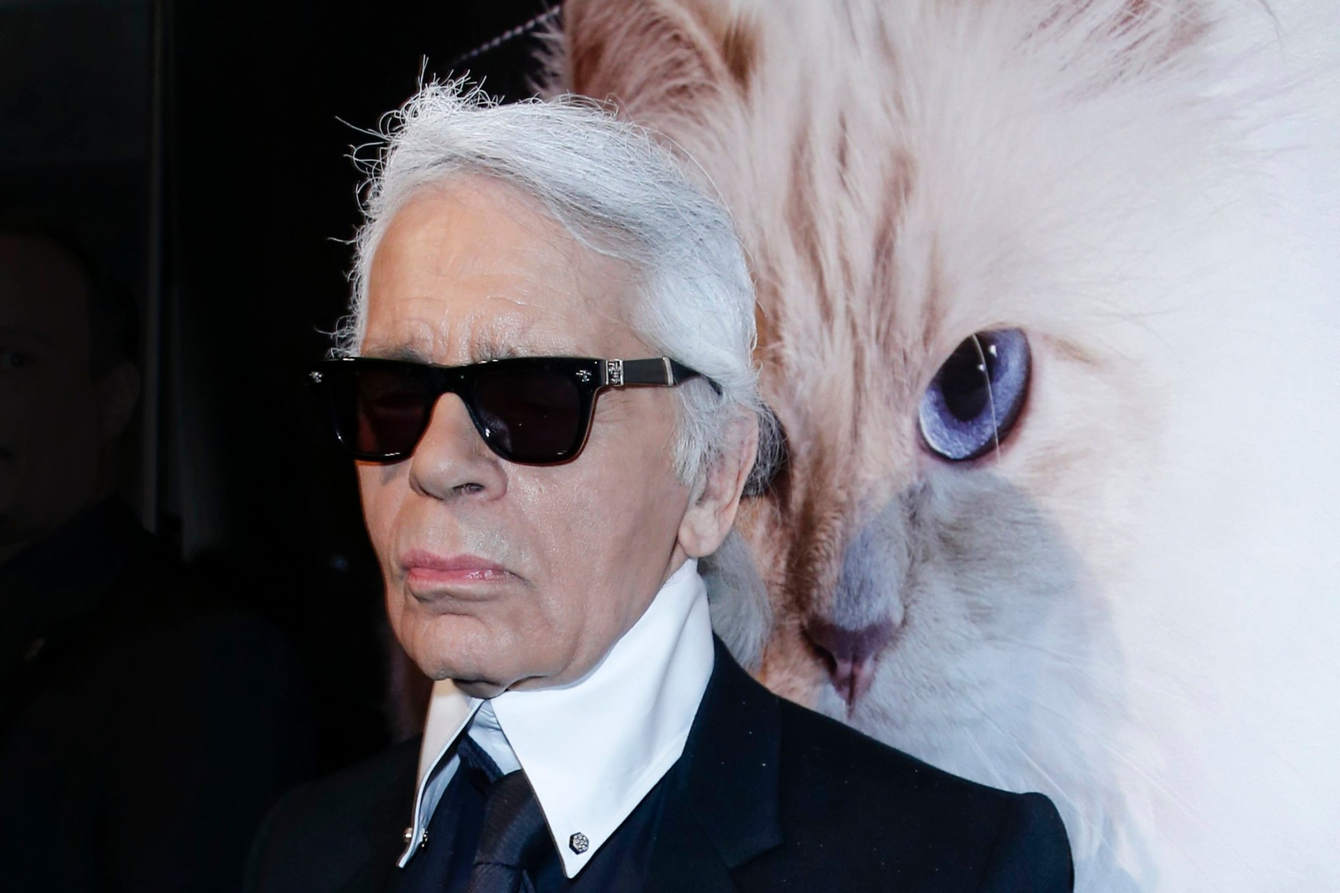 Karl Lagerfeld’s cat living broke after receiving ‘absolutely nothing ...