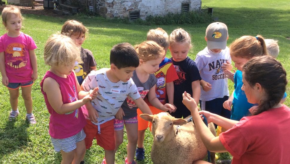 Family-friendly activities for your Chester County summer bucket list