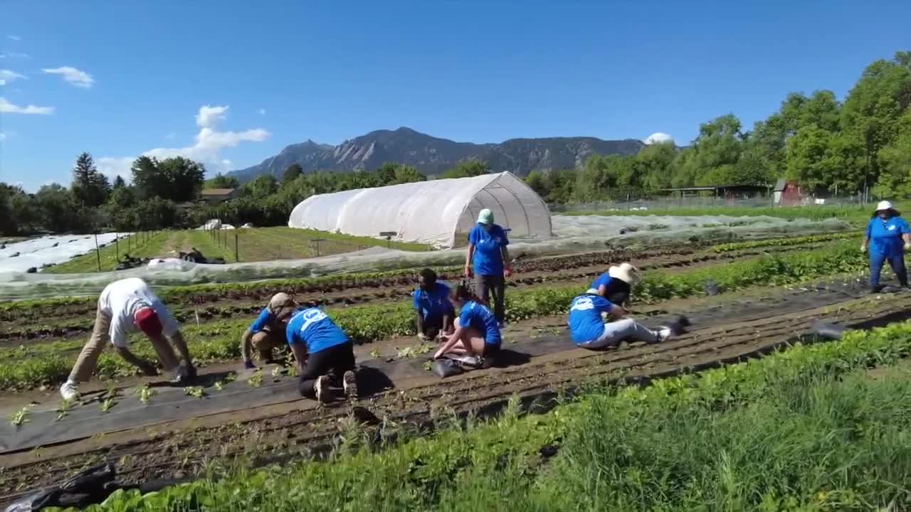 Denver7 Gives Volunteer Event: Growing Gardens’ farm start their season