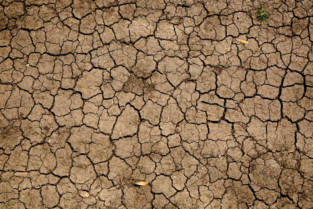 10 clear signs your garden soil is desperately missing organic matter