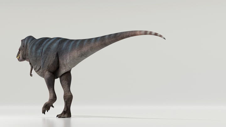 T rex walked a lot slower than you'd think