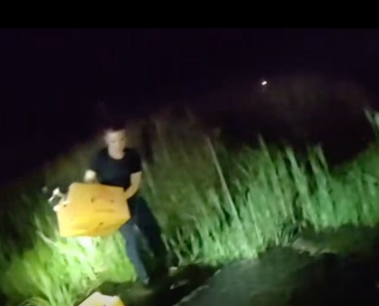 Video: Cat stuck in marshland, in danger of drowning, rescued by police ...