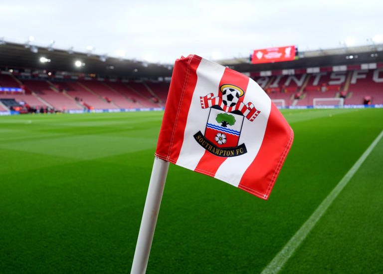 Southampton junior analyst ‘felt under extreme pressure’ to spy – panel