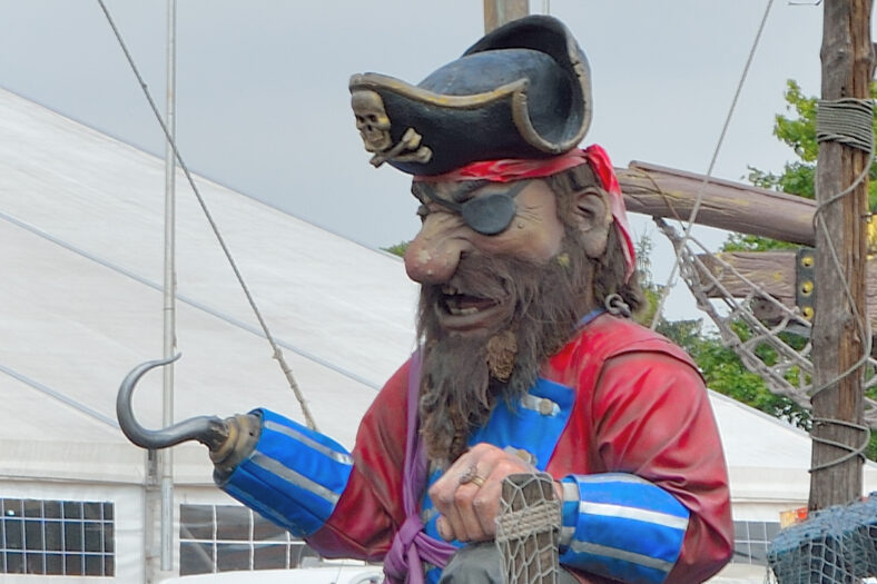 6 strange facts about pirates that sound made up