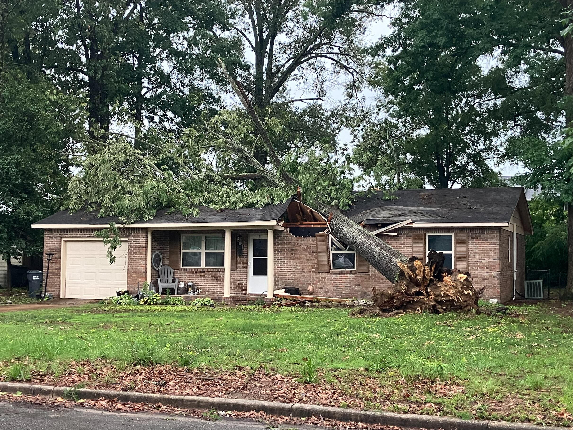 Roof damaged after tree fell in Decatur home