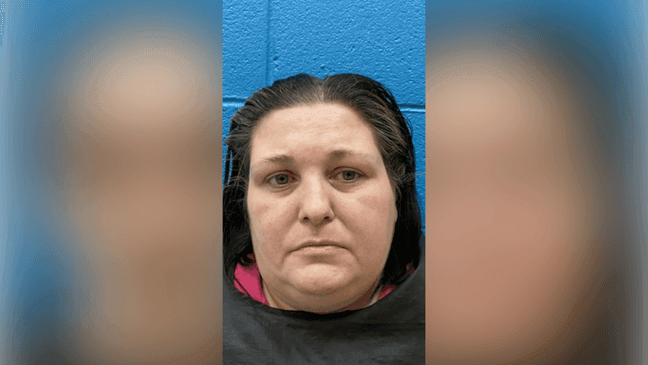 2 accused of armed robbery attempt at Sprue Pine convenience store