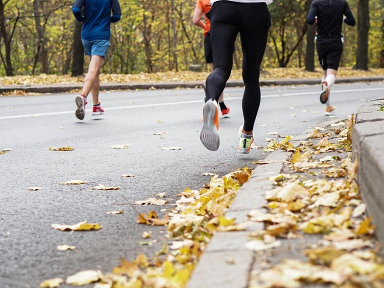 Roads to close for the Dipsea Race in Marin County
