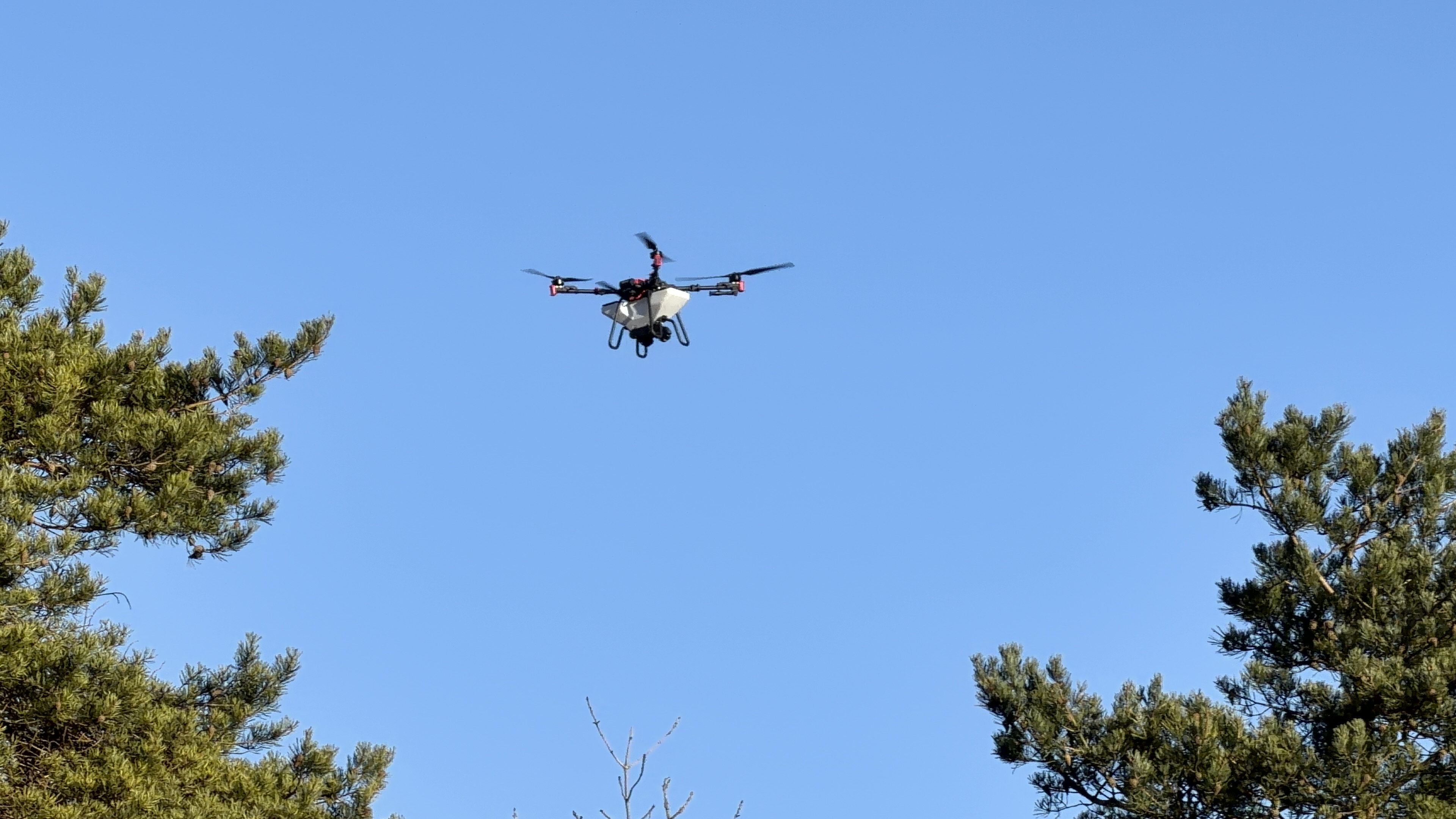Drones drop seeds across Peak District ravine to restore remote ...