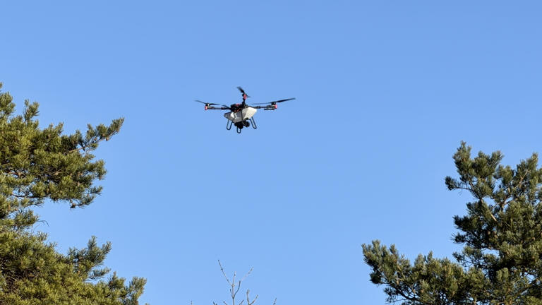 Drones drop seeds across Peak District ravine to restore remote ...
