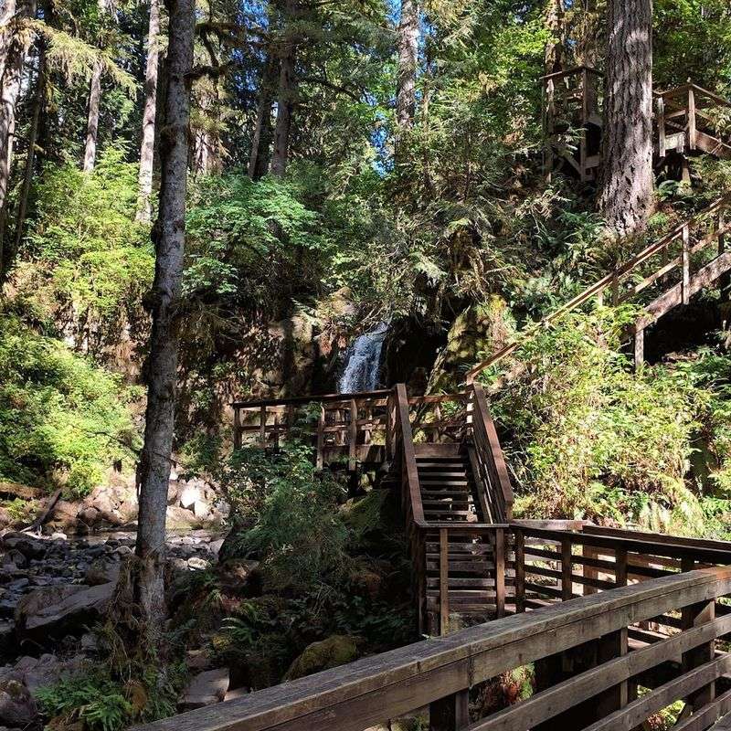 This Oregon trail was used by the CCC in the 1930s, you can still find ...