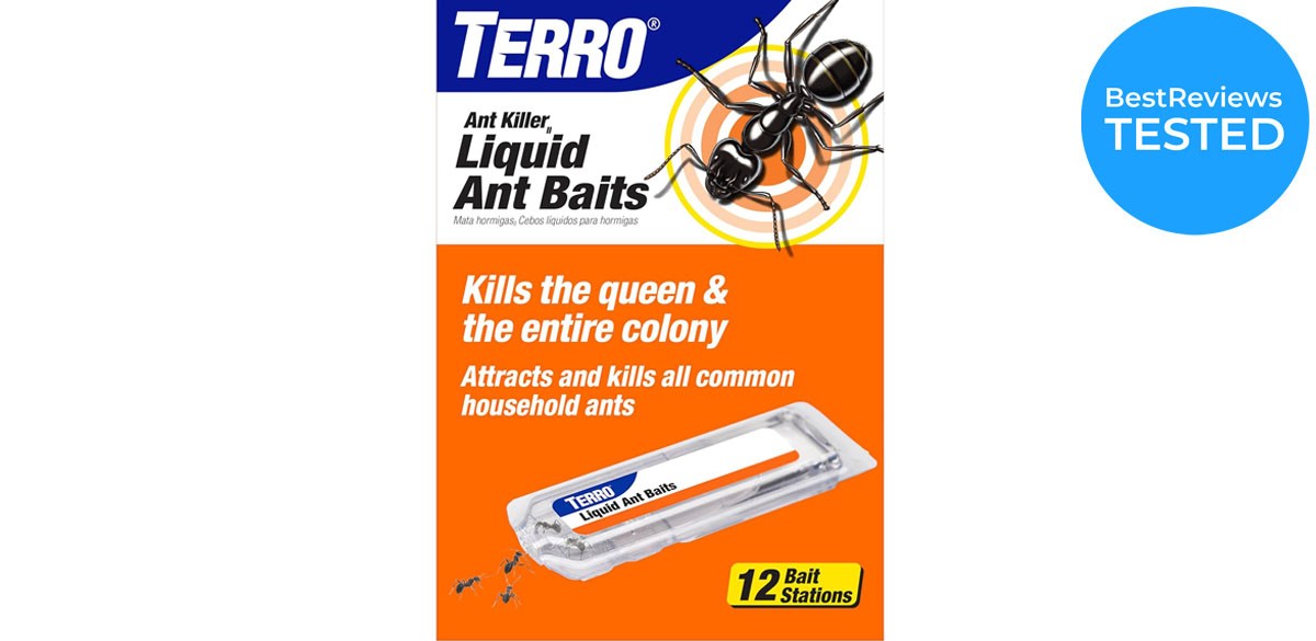 We tested Amazon's bestselling ant trap - and it actually works