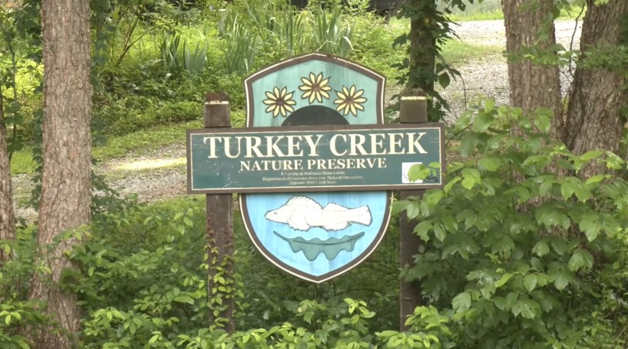 Brother, sister who drowned at Turkey Creek Nature Preserve identified